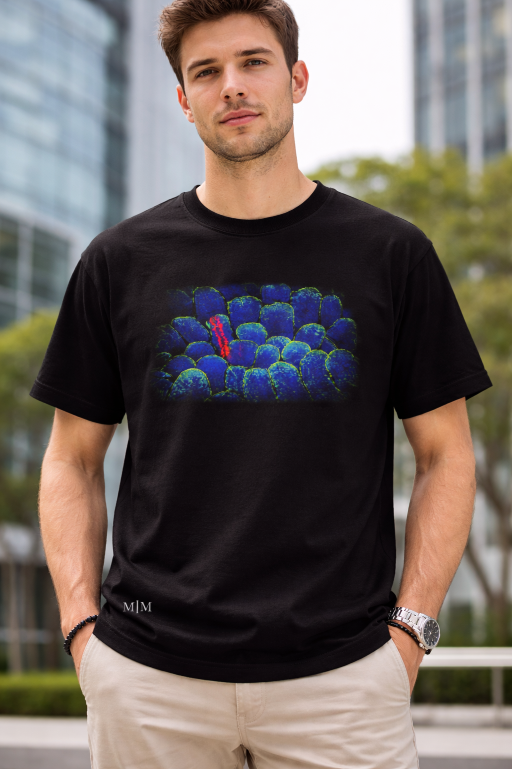 Intestine cells – MIRROR M²